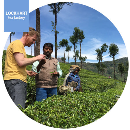 Lockhart Tea Plantation, India – BRUU Tea Club